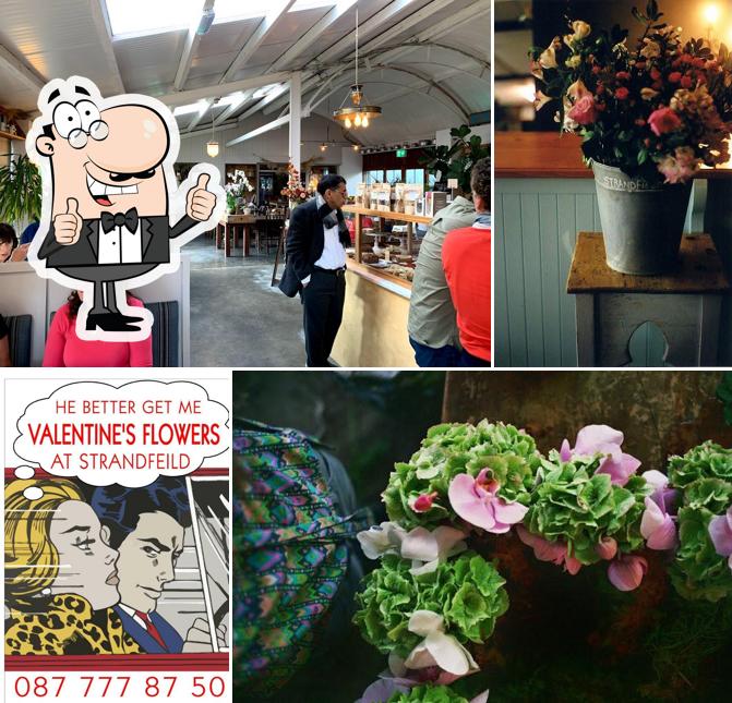 Strandfield in Dundalk - Restaurant reviews