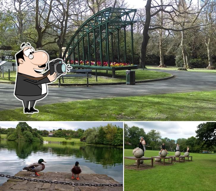 Saltwell Park, Gateshead - Restaurant menu, prices and reviews