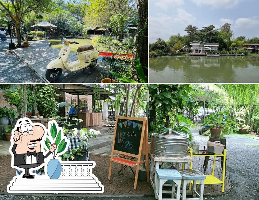 Baan 1,000 Mai Café & Farm, Sam Khok - Restaurant menu, prices and reviews