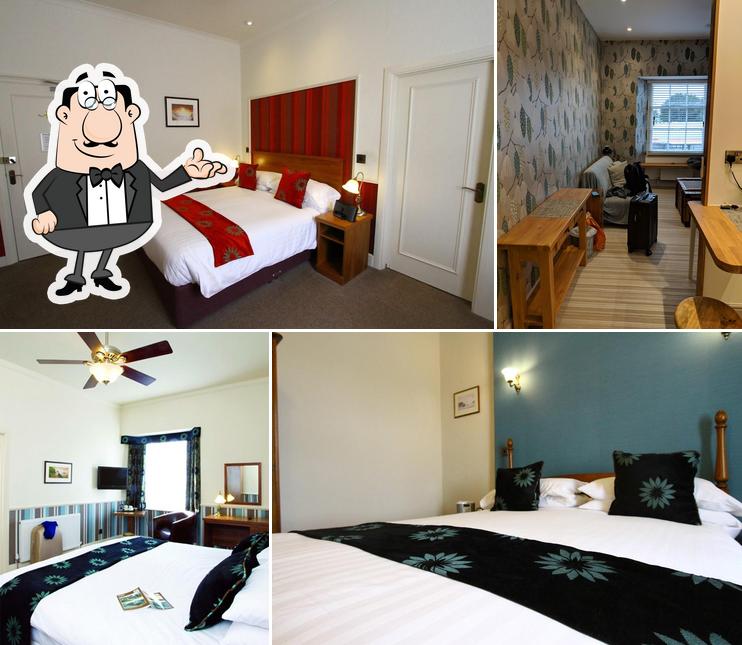 Top 7 restaurants in Brixham, october 2025 - Restaurant Guru