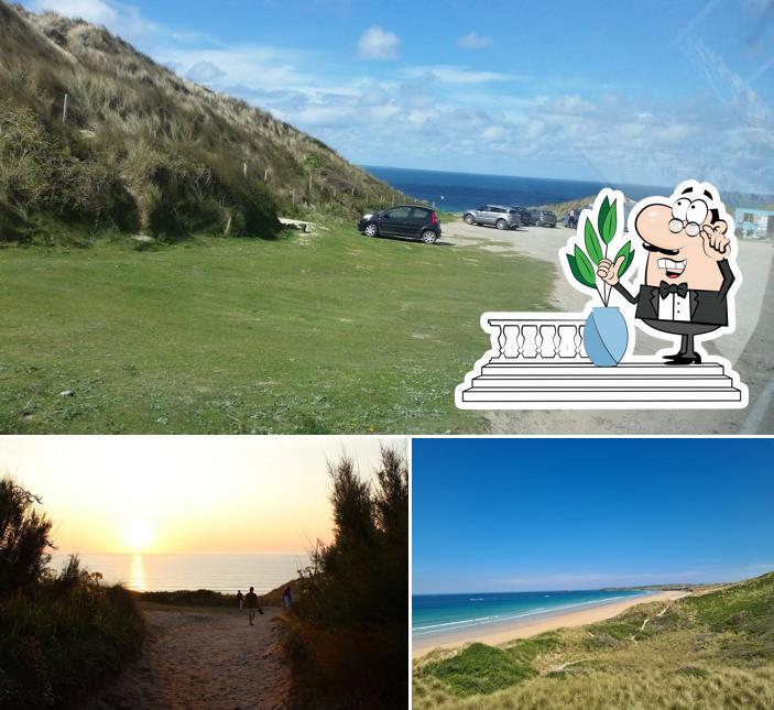 Sandy Acres Beach Cafe in Hayle - Restaurant reviews