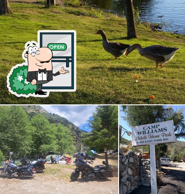 Camp Williams Resort - Restaurant menu, prices and reviews