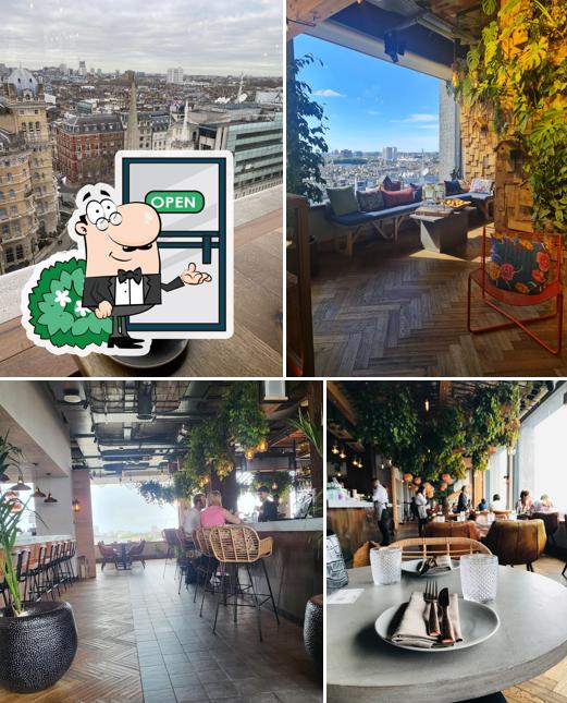 Madera at Treehouse London in London - Restaurant reviews