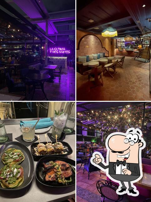 Serena Rooftop, Miami Beach - Restaurant menu, prices and reviews