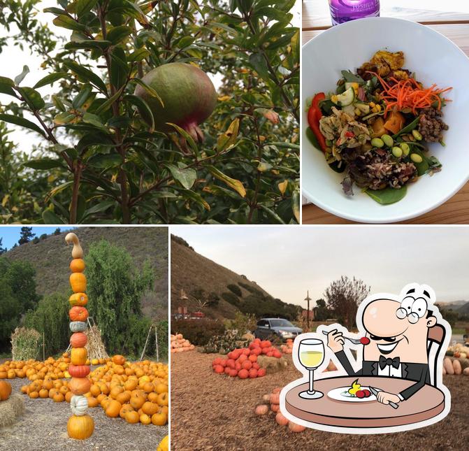 Earthbound Farm Stand in Monterey - Restaurant menu and reviews