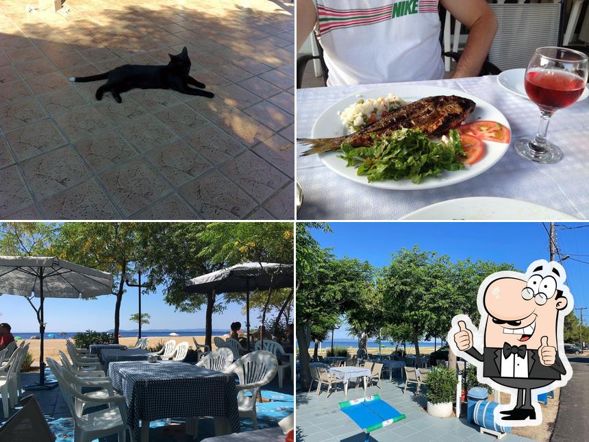 Rooms Cafe Bar Afroditi, Toroni - Restaurant reviews