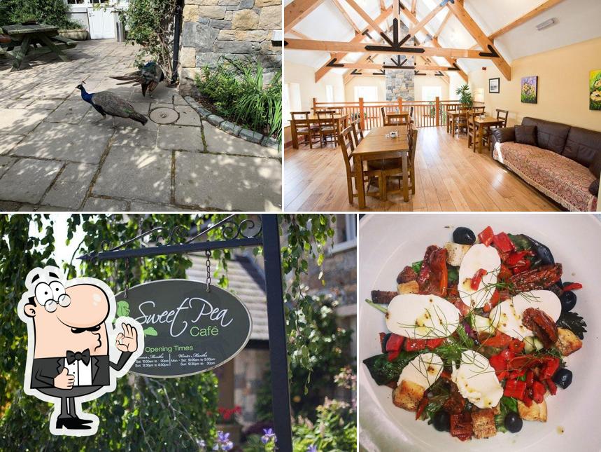 Sweet Pea Cafe, Warrenpoint - Restaurant menu, prices and reviews