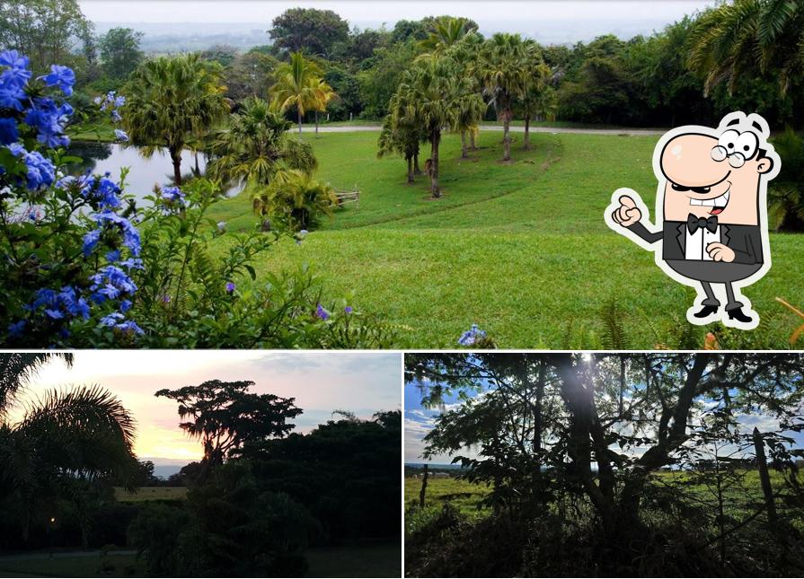 Parcelacion campestre LA ROMELIA, Colombia - Restaurant reviews