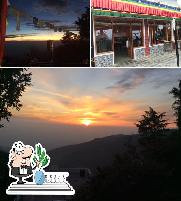 Pema Thang Guest house & Restaurant, Dharamshala - Restaurant reviews