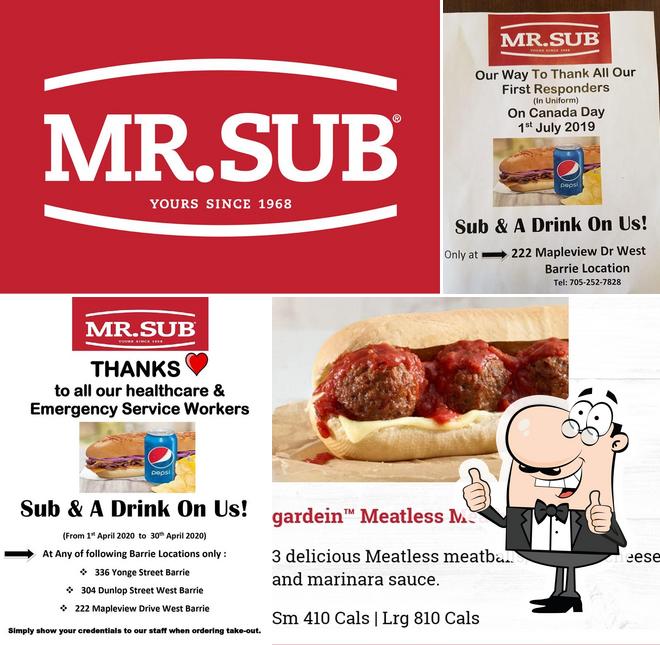 Mr.Sub, 222 Mapleview Street West Unit 1 in Barrie - Restaurant menu ...