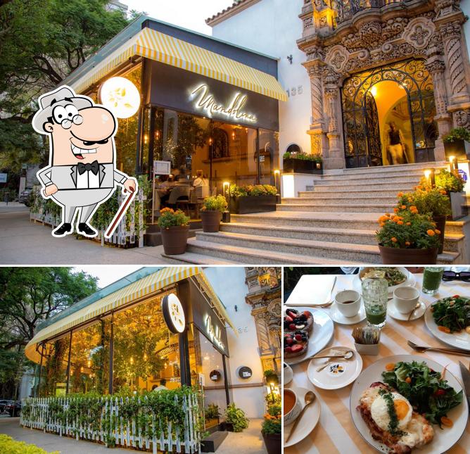 Mandolina Polanco, Ciudad de México - Menú del restaurante, precios y ...