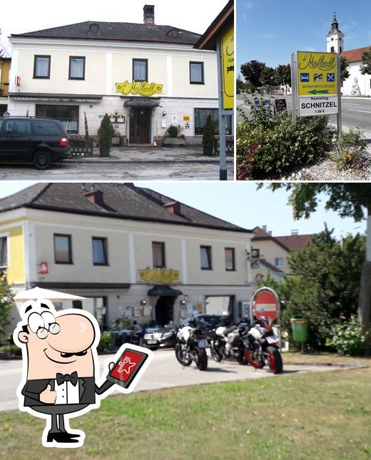 Restaurant Langer, Erlauf - Restaurant reviews