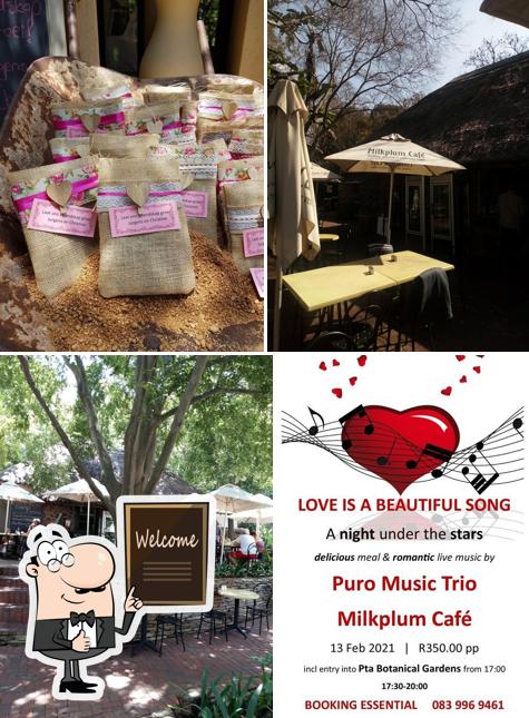 Milkplum Cafe, Pretoria, 2 Cussonia Ave - Restaurant reviews