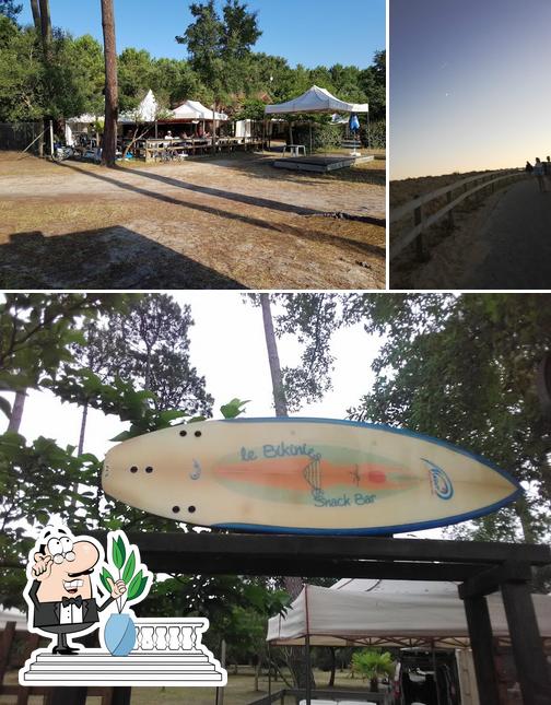 Le Bikini restaurant, Messanges, Av. de l'Océan - Critiques de restaurant