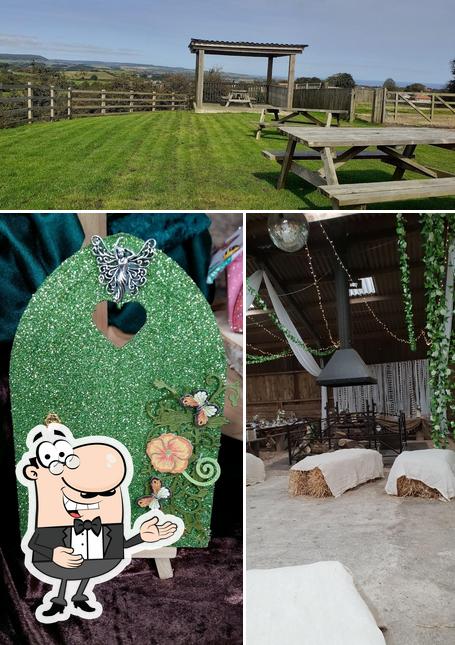 Stepney Hill Farm in Scarborough - Restaurant reviews