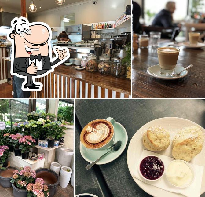 Town & Country Home Garden & Cafe in Deepdene - Restaurant menu and reviews