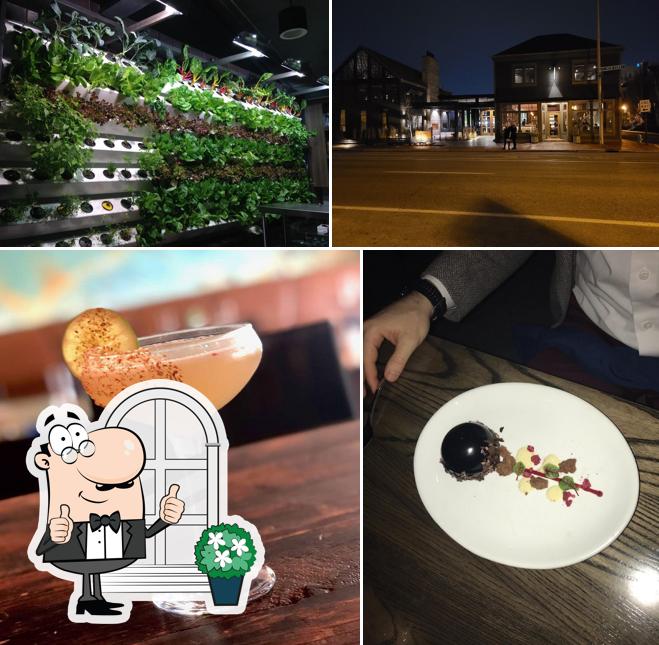 Vida, Indianapolis - Restaurant menu, prices and reviews