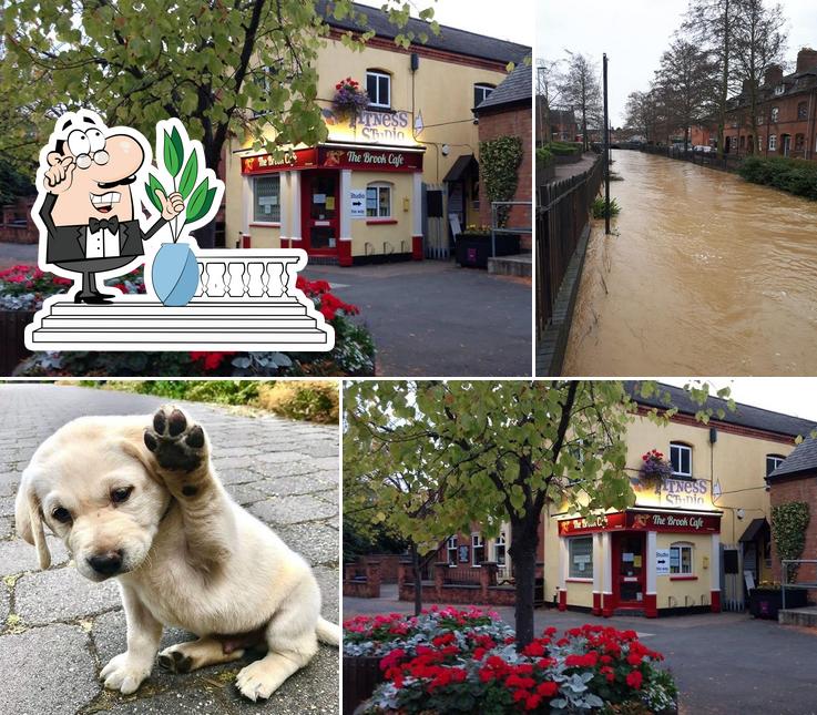 The Brook Cafe in Leicester - Restaurant reviews