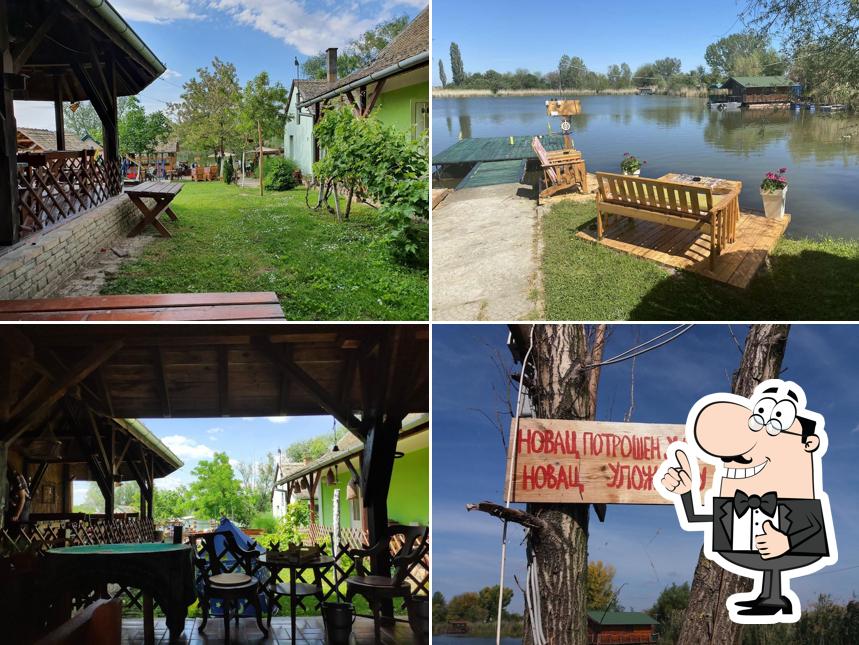 Tiha tisa restaurant, Čurug - Restaurant reviews