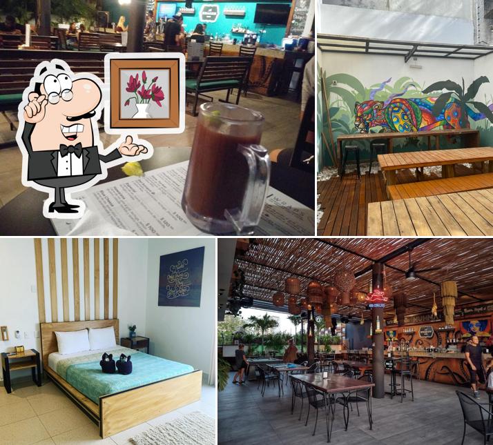 Pub y bar Nomads Hotel, Hostel & Rooftop Pool Cancun, Cancún ...