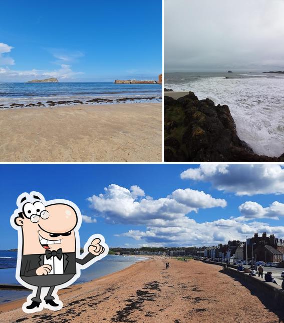 The Lobster Shack, North Berwick - Restaurant menu, prices and reviews