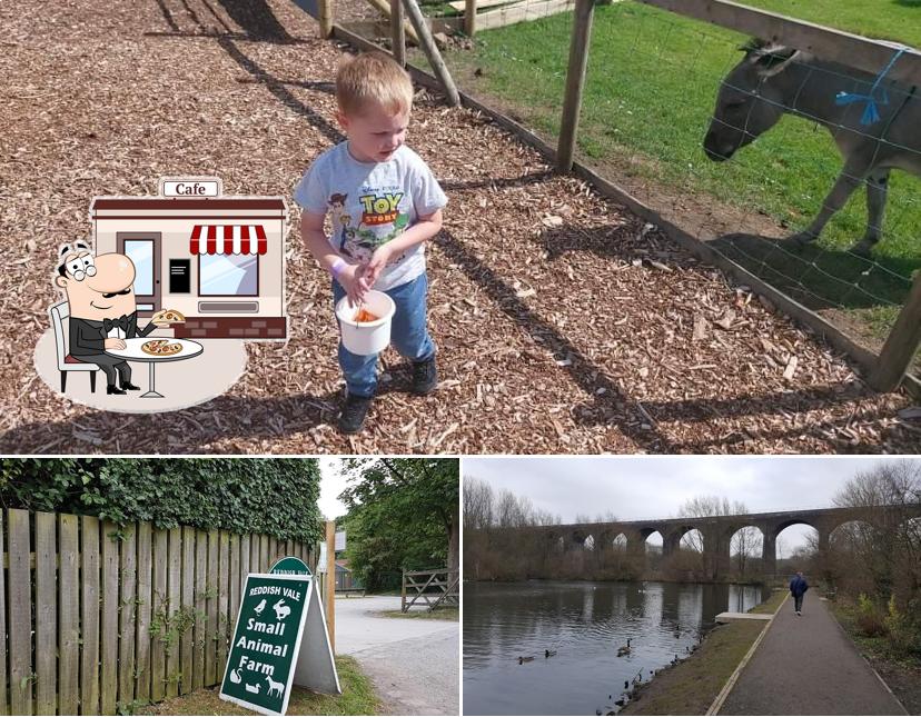 Reddish Vale Farm, Stockport - Restaurant menu, prices and reviews