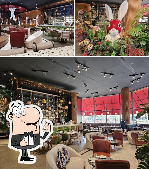 RedRabbit Diner & Bar, Om Kret, Ratchapruek Rd - Restaurant reviews