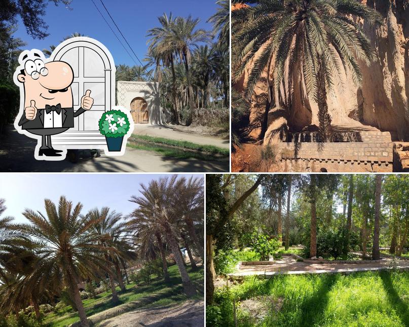 Planet Oasis, Tozeur