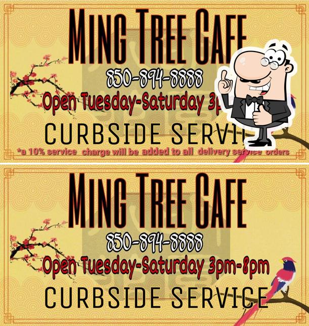 Ming Tree Cafe in Tallahassee - Restaurant menu and reviews