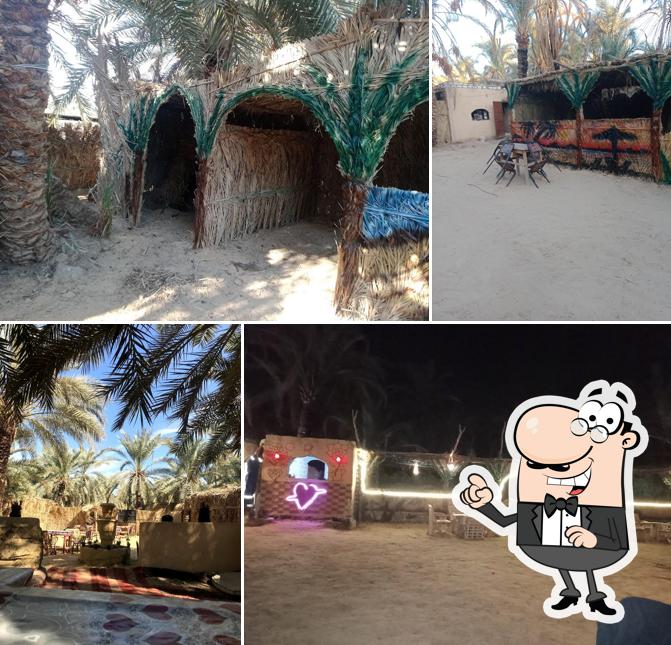 Top 7 restaurants in Siwa Oasis, august 2025 - Restaurant Guru