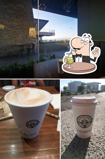 Sinforosa café, Mexico - Opiniones del restaurante
