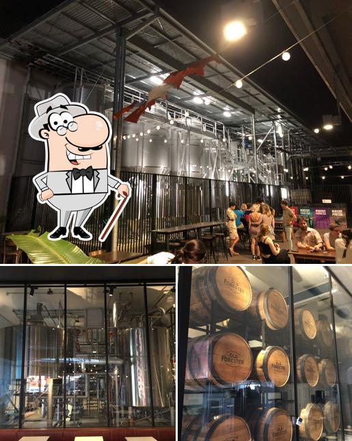 Newstead Brewing Co, Brisbane - Restaurant menu, prices and reviews
