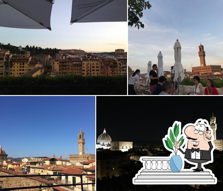 La Terrazza Rooftop Bar, Florence - Restaurant menu and reviews