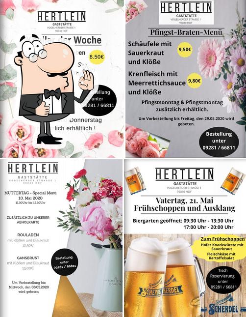 Hertlein restaurant, Hof - Restaurant reviews