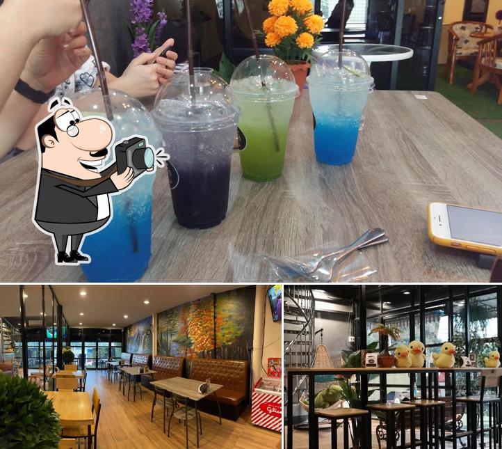 เดอะดั๊ก cafe, U Thong