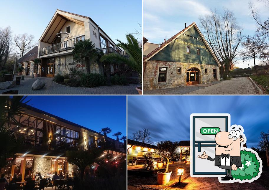 Finca Bar Celona Bielefeld
