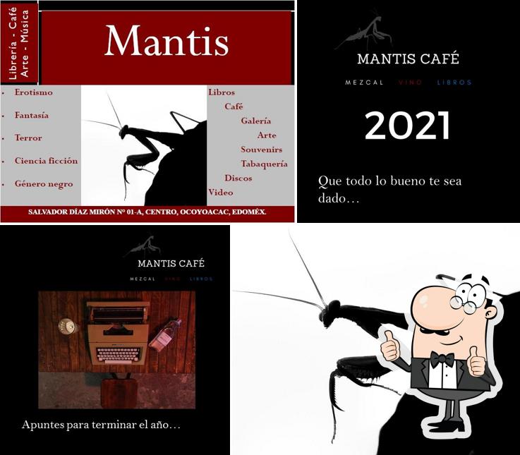 Mantis café, Xalatlaco