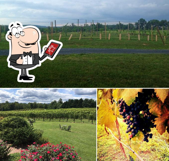 Gadino Cellers Tasting Room, Washington - Restaurant menu, prices and ...