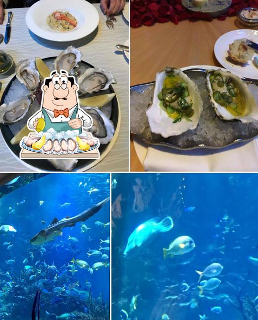 Al Mahara - Burj Al Arab, Dubai - Restaurant menu, prices and reviews