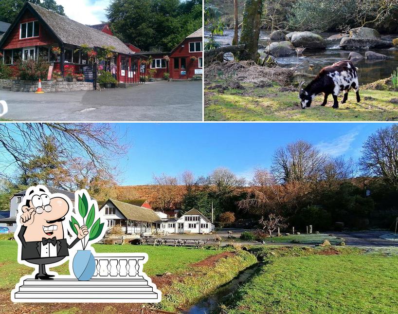 Badgers Holt Tea Rooms and Cafe, Dartmoor Forest - Restaurant menu ...