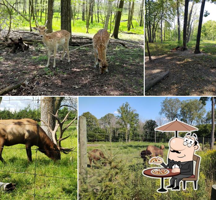 Shalom Wildlife Zoo, West Bend - Restaurant menu, prices and reviews