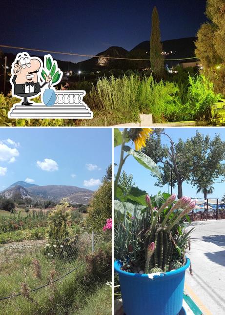 Aliti's Bar, Cephalonia - Restaurant reviews