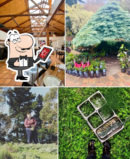 Topiary, Tea Tree Gully - Restaurant menu, prices and reviews