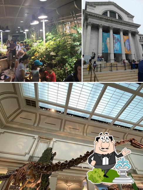 National Museum Of Natural History Cafe, Washington - Restaurant menu ...