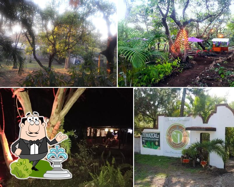 Los 5 mejores cafés en Suchitlán, octubre 2024 - Restaurant Guru