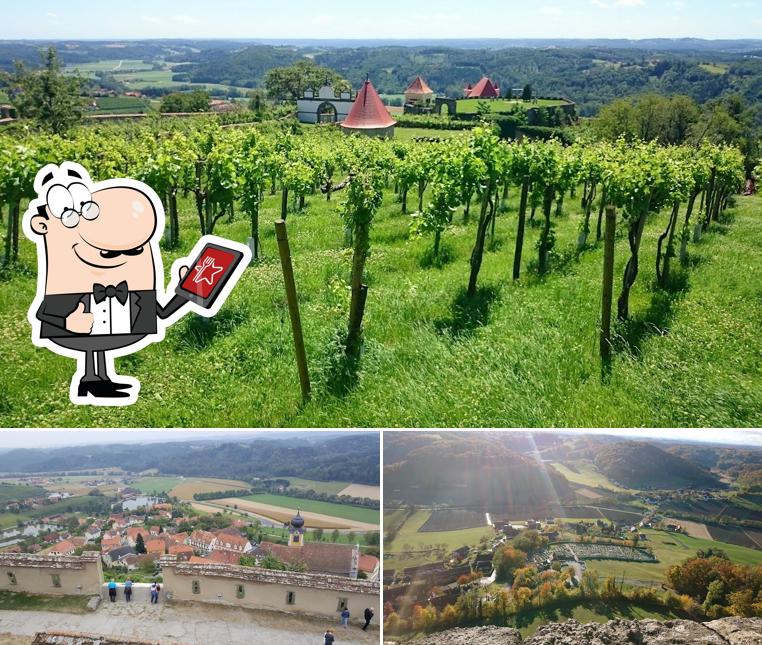 Riegersburg Taverne, Riegersburg - Speisekarte, Preise und Bewertungen