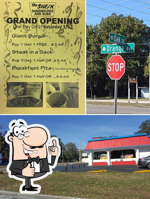 The Sheik Sandwiches and Subs, Green Cove Springs - Restaurant menu ...