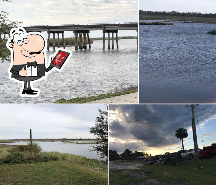 Jolly Gator Fish Camp in USA - Restaurant menu and reviews