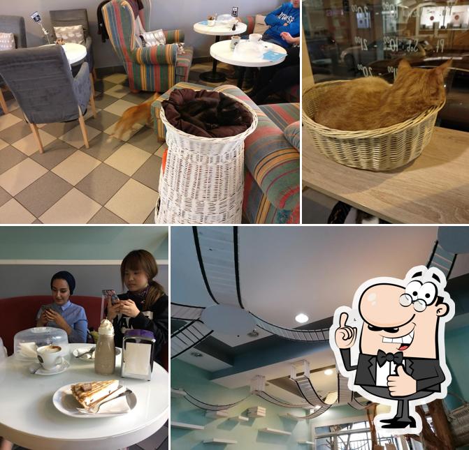 Mrau Cafe, Lublin, Orla 6 - Restaurant reviews