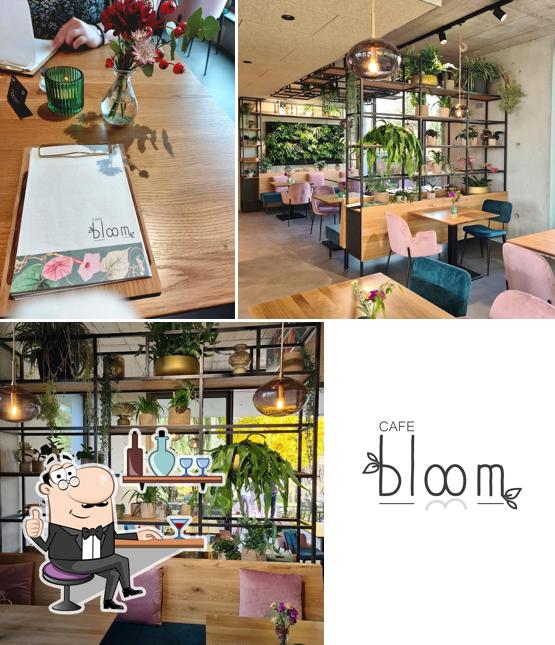 Café Bloom, Hohenwart - Speisekarte, Preise und Bewertungen